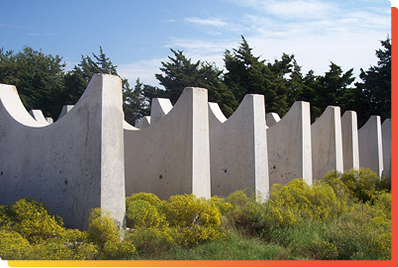 National Provider For Piers | Cactus Tanks